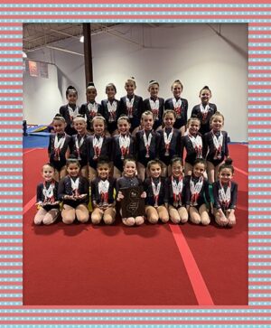 Xcel Bronze States 2023 – Results – USA Gymnastics | NJ